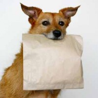 The Future of the Doggie Bags for Leftovers - We Hate To Waste