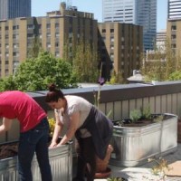 Composting Urban Terrace - WeHateToWaste