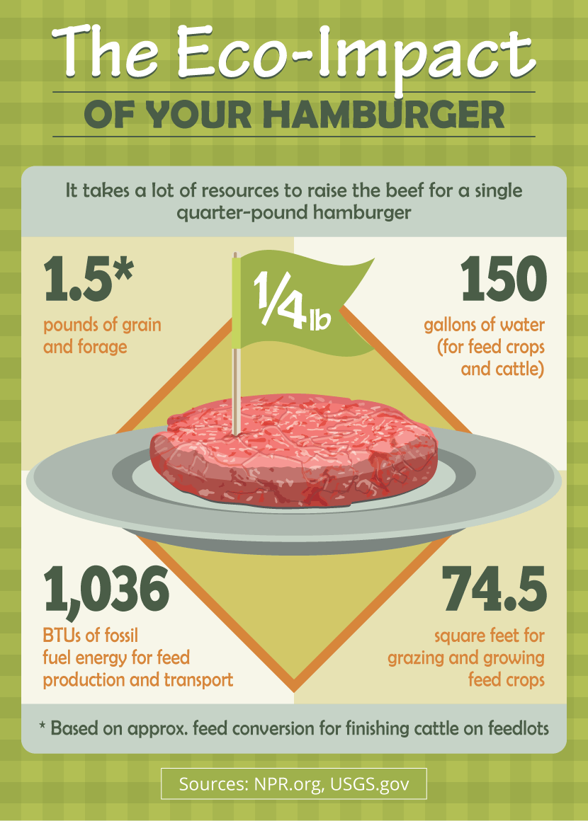The Eco-impact of Your Hamburger - We Hate To Waste